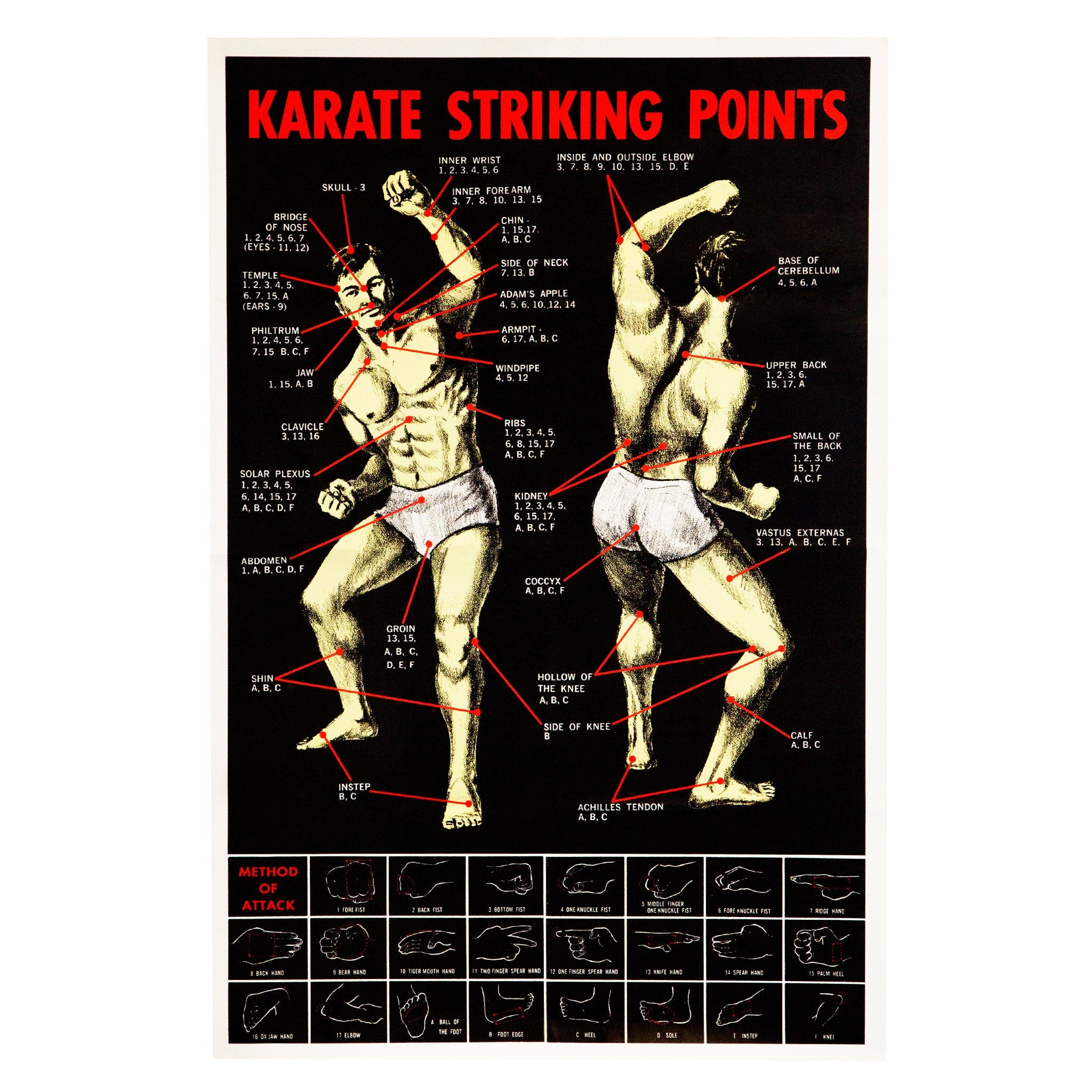 Poster Basic Striking Points